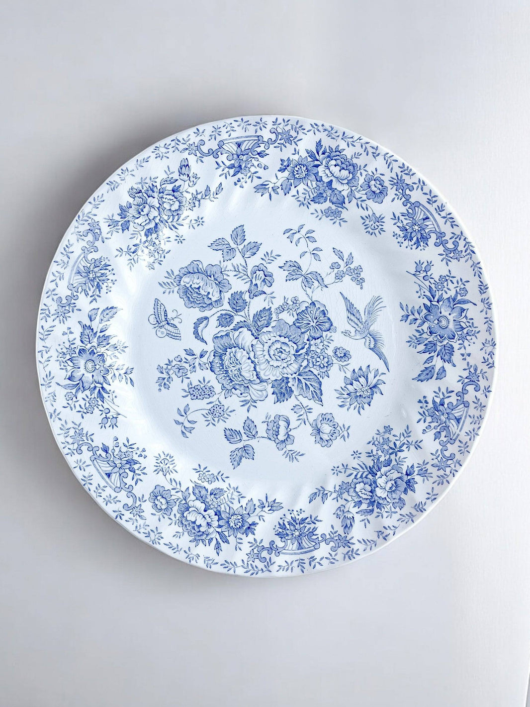 Myott – SOSC Home